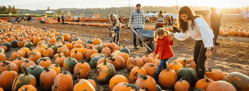 10 Family Friendly Fall Activities – Freshly Picked